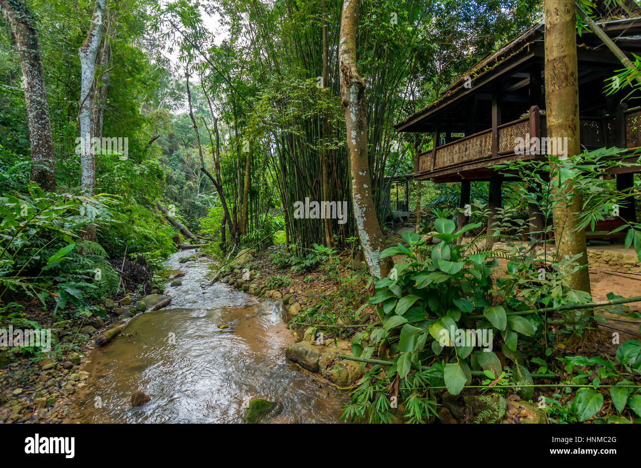 Wooden hut near small river in the jungle Stock Photo - Alamy