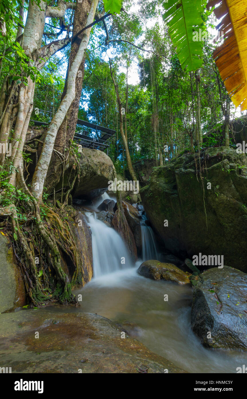 Waterfall in the jungle Stock Photo - Alamy