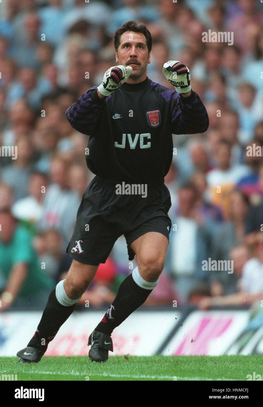 David seaman arsenal 1995 hi-res stock photography and images - Alamy
