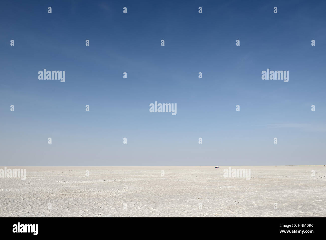 Salt desert in India in Gujarat state Stock Photo - Alamy