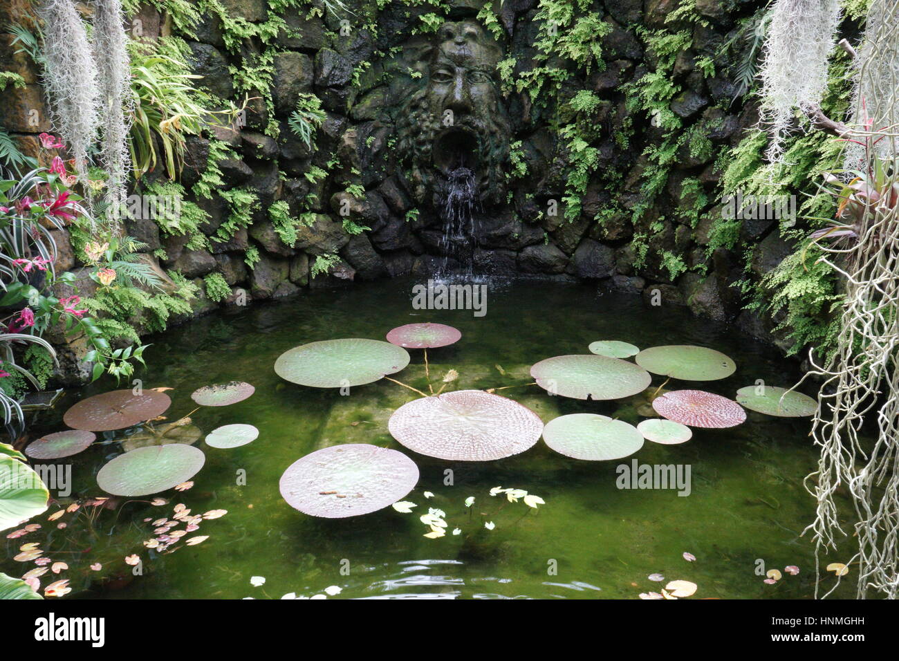 Italian lily pond Stock Photo - Alamy