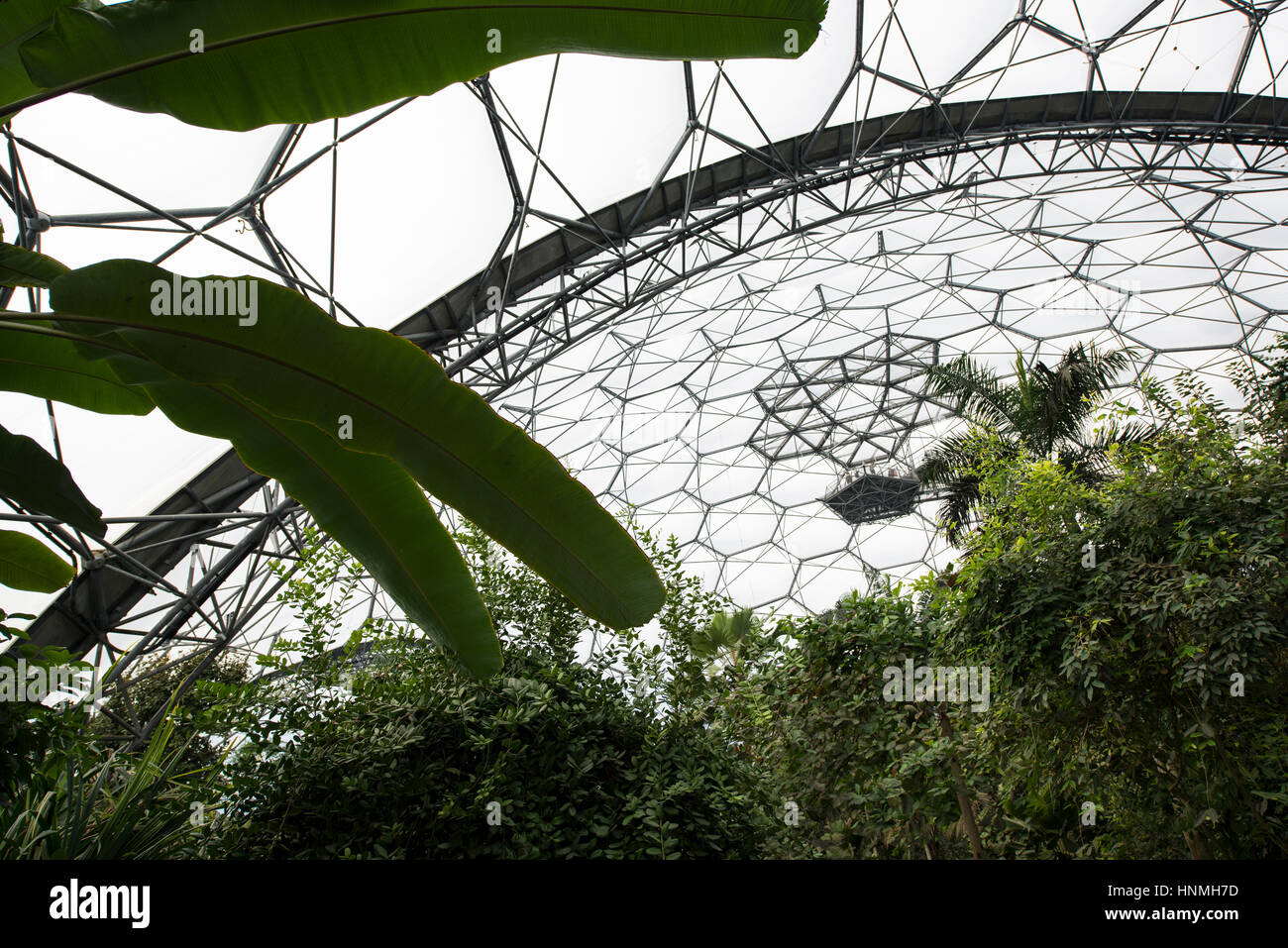 The Rainforest Biome, Eden Project Stock Photo - Alamy