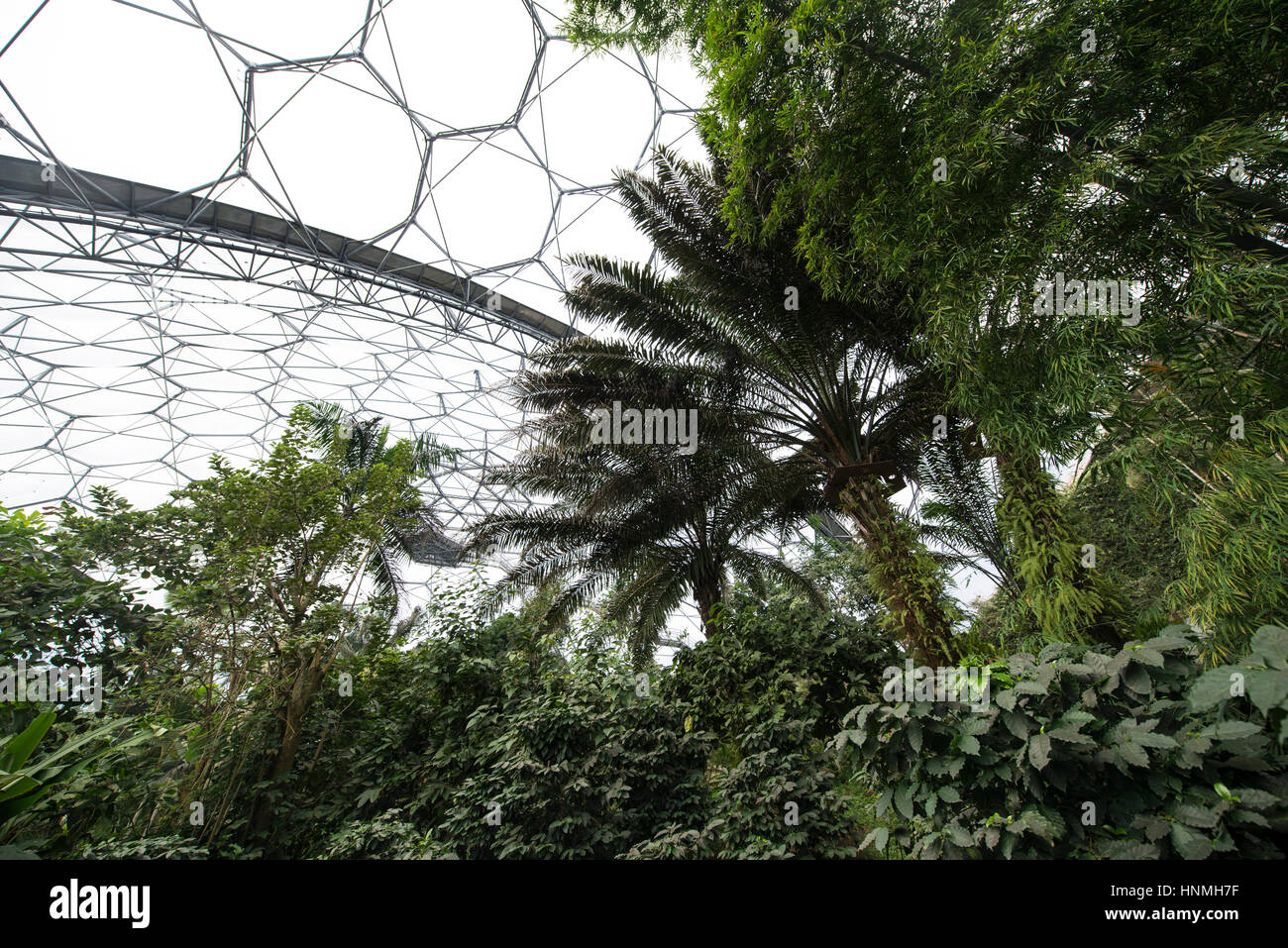 The Rainforest Biome, Eden Project Stock Photo - Alamy