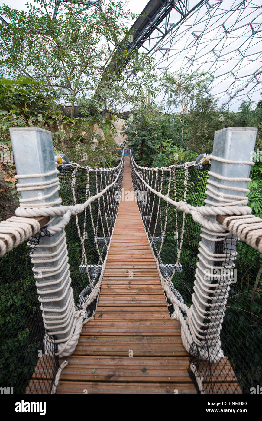 The new Rope Bridge inside the Rainforest Biome, Eden Project Stock ...