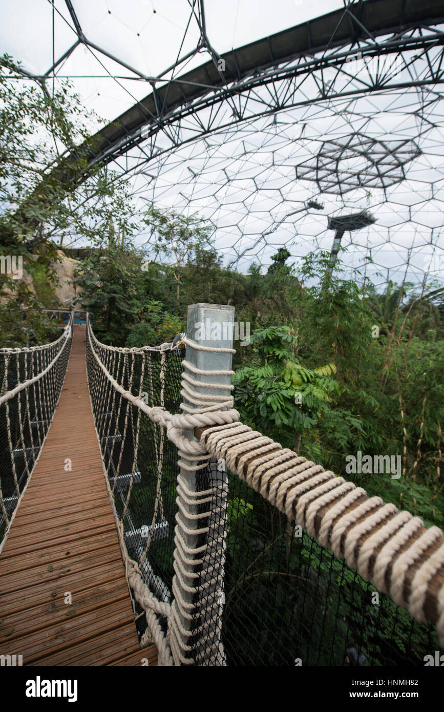 Rainforest canopy walkway eden hi-res stock photography and images - Alamy