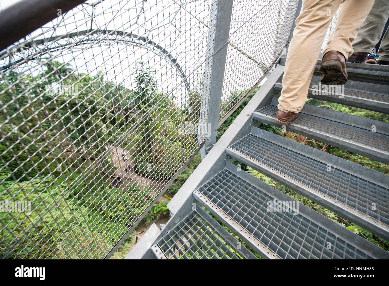 Lookout Platform, Rainforest Biome, Eden Project Stock Photo - Alamy