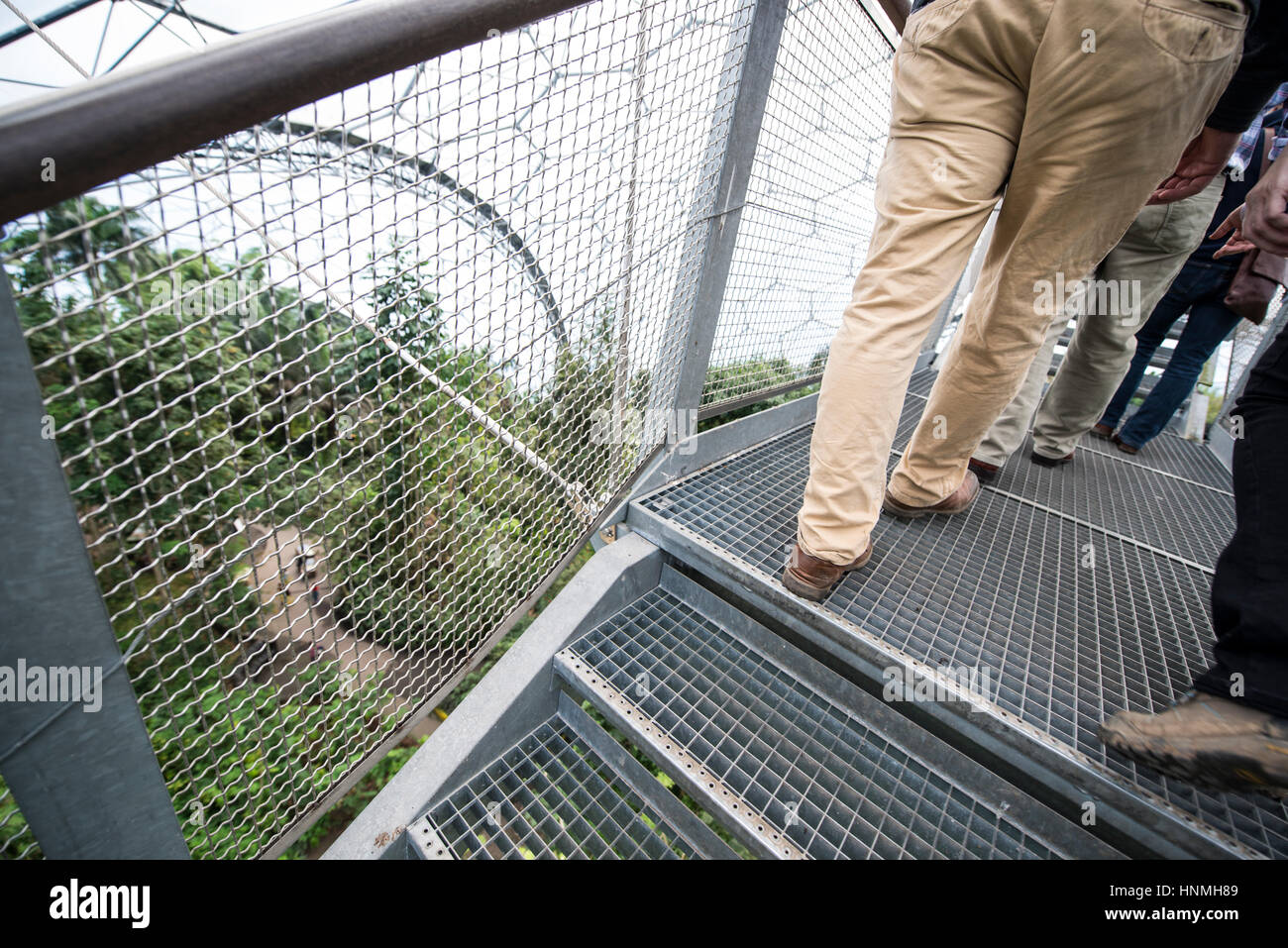Lookout Platform, Rainforest Biome, Eden Project Stock Photo - Alamy