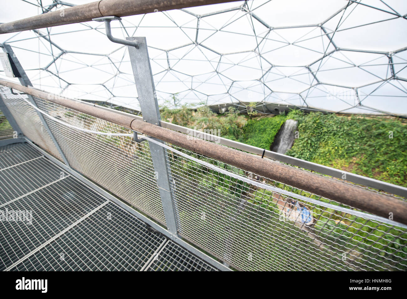 Lookout Platform, Rainforest Biome, Eden Project Stock Photo - Alamy