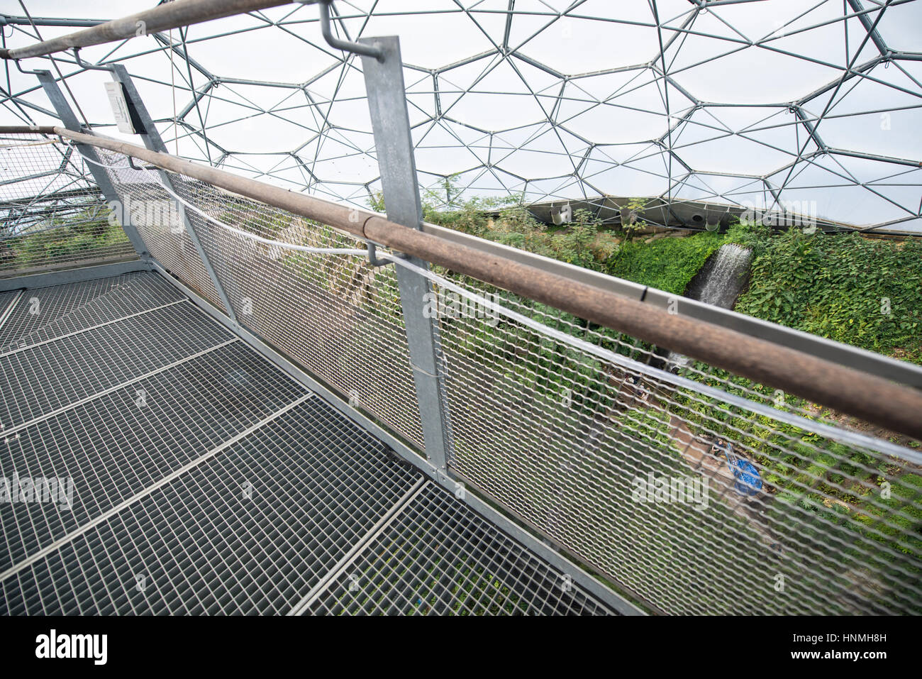Lookout Platform, Rainforest Biome, Eden Project Stock Photo - Alamy