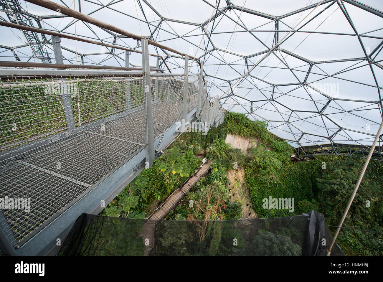 Lookout Platform, Rainforest Biome, Eden Project Stock Photo - Alamy