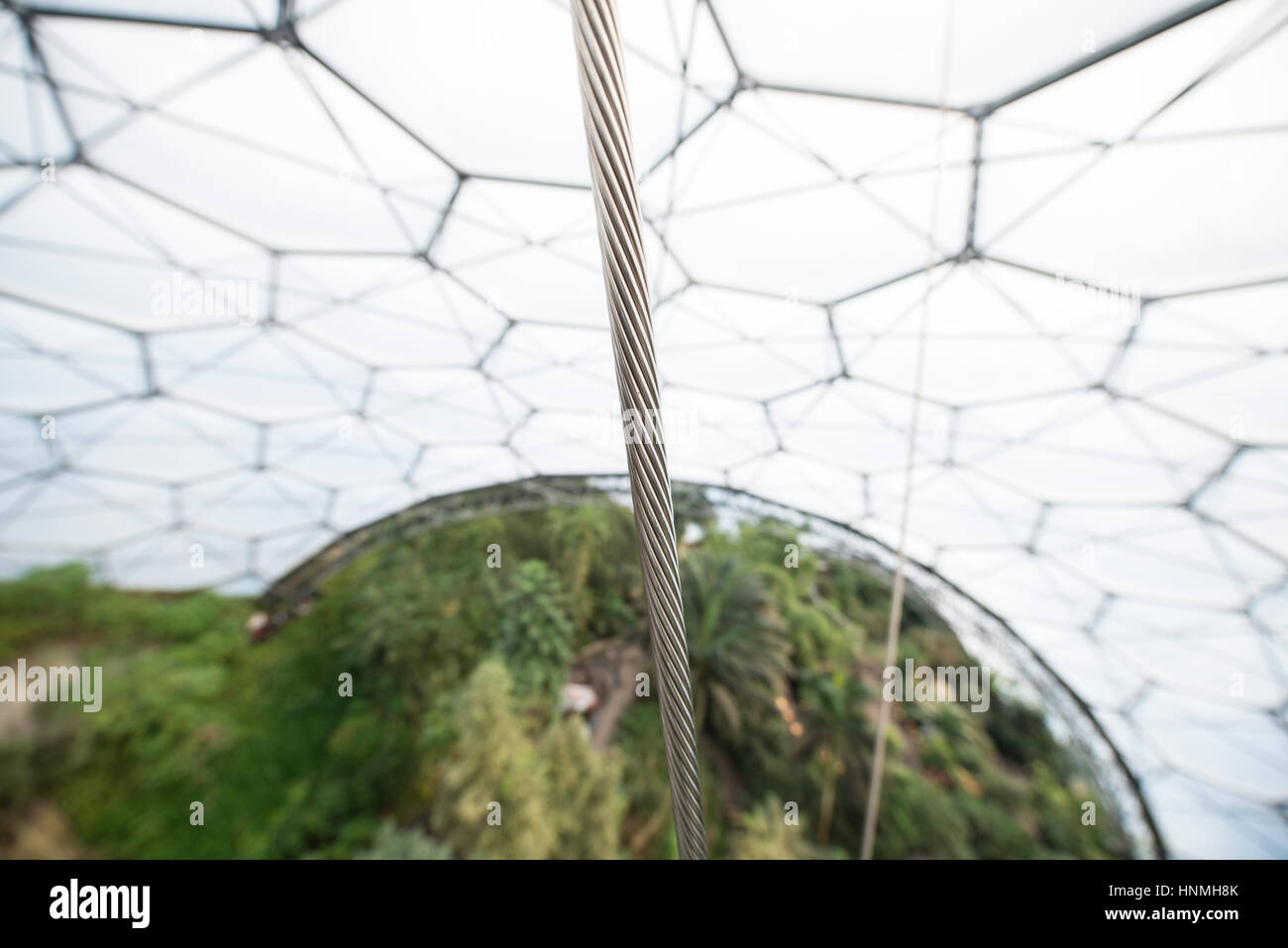 Lookout Platform, Rainforest Biome, Eden Project Stock Photo - Alamy
