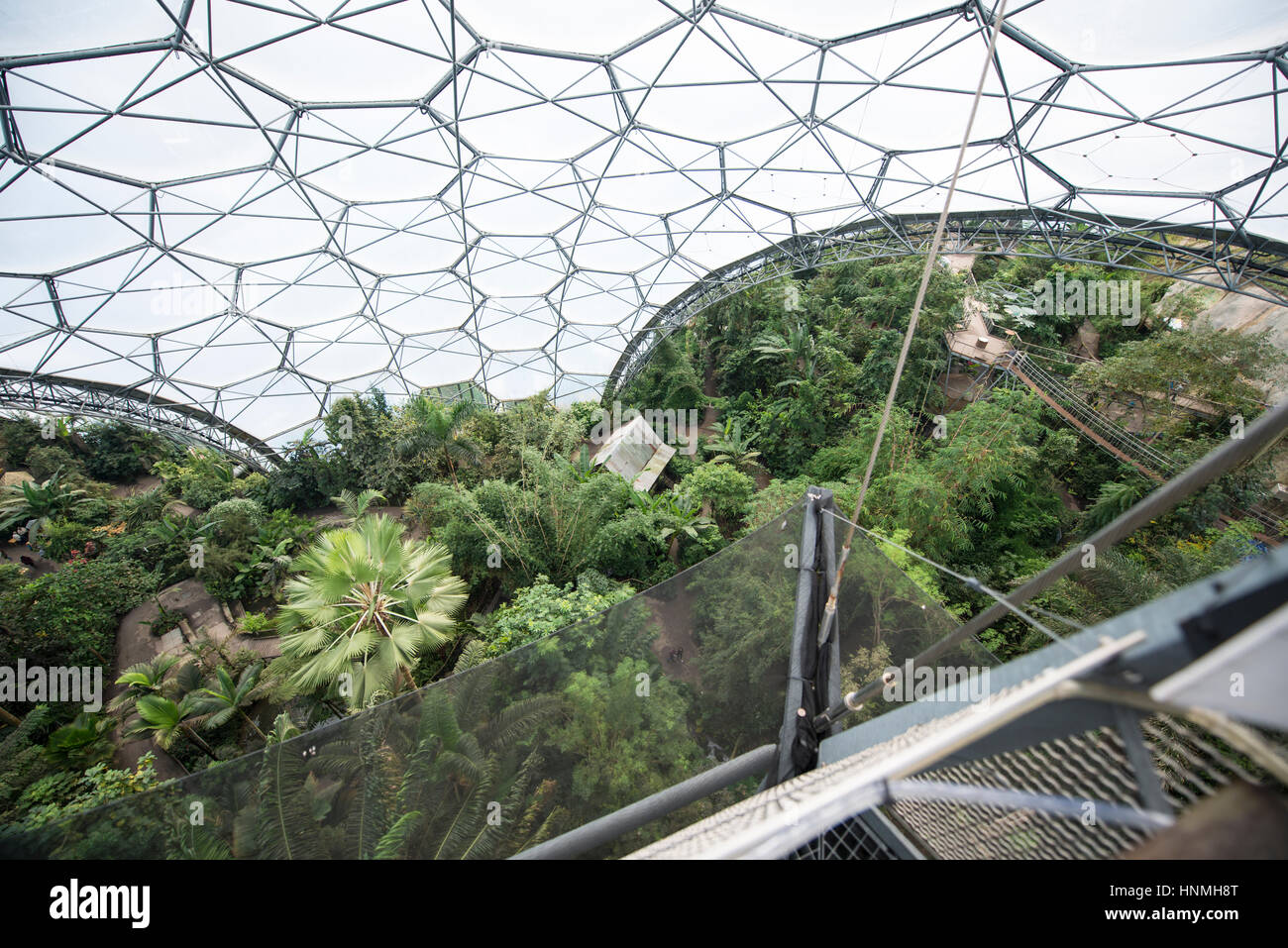 Lookout Platform, Rainforest Biome, Eden Project Stock Photo - Alamy