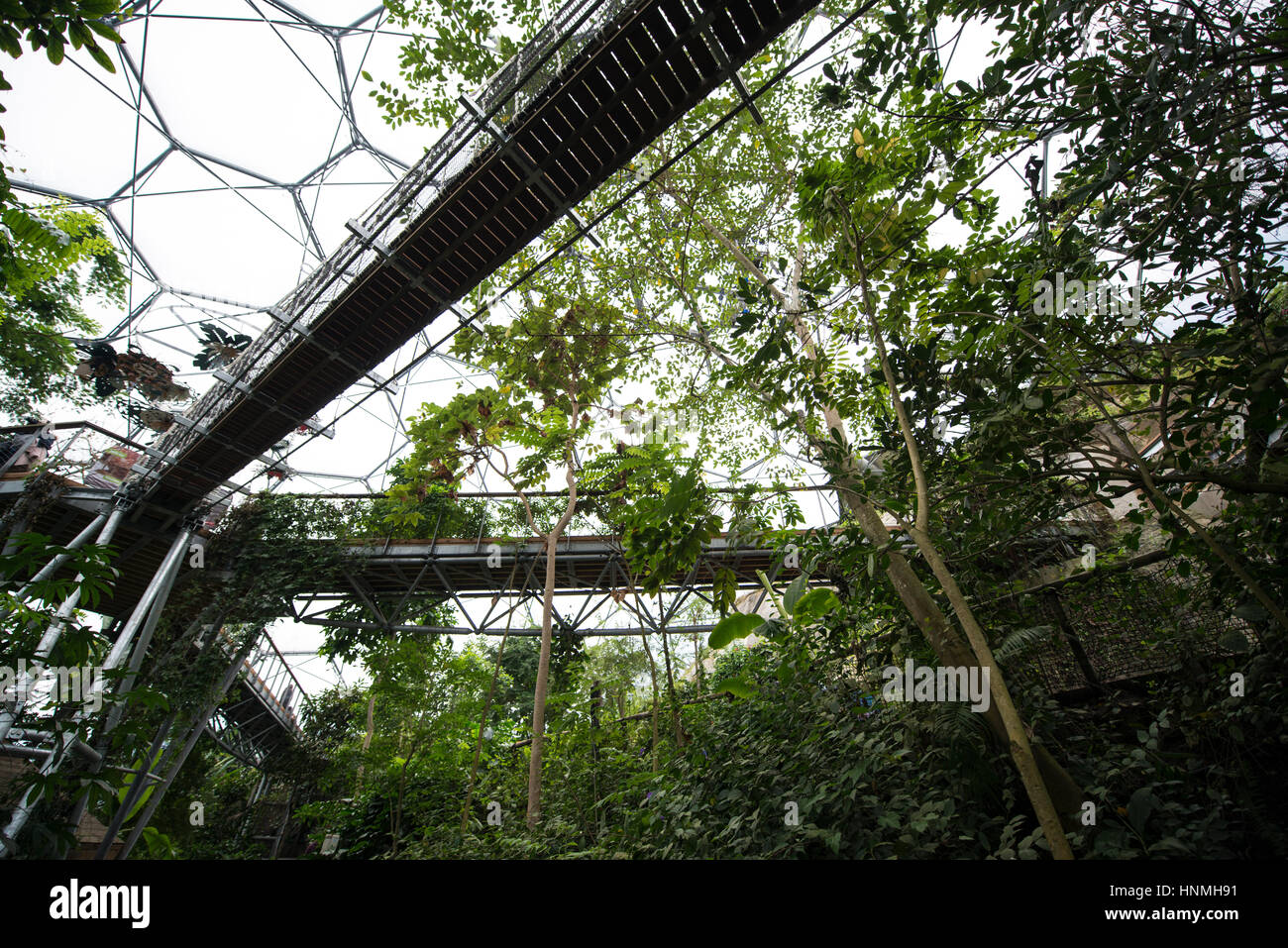 Rainforest Biome, Eden Project Stock Photo - Alamy