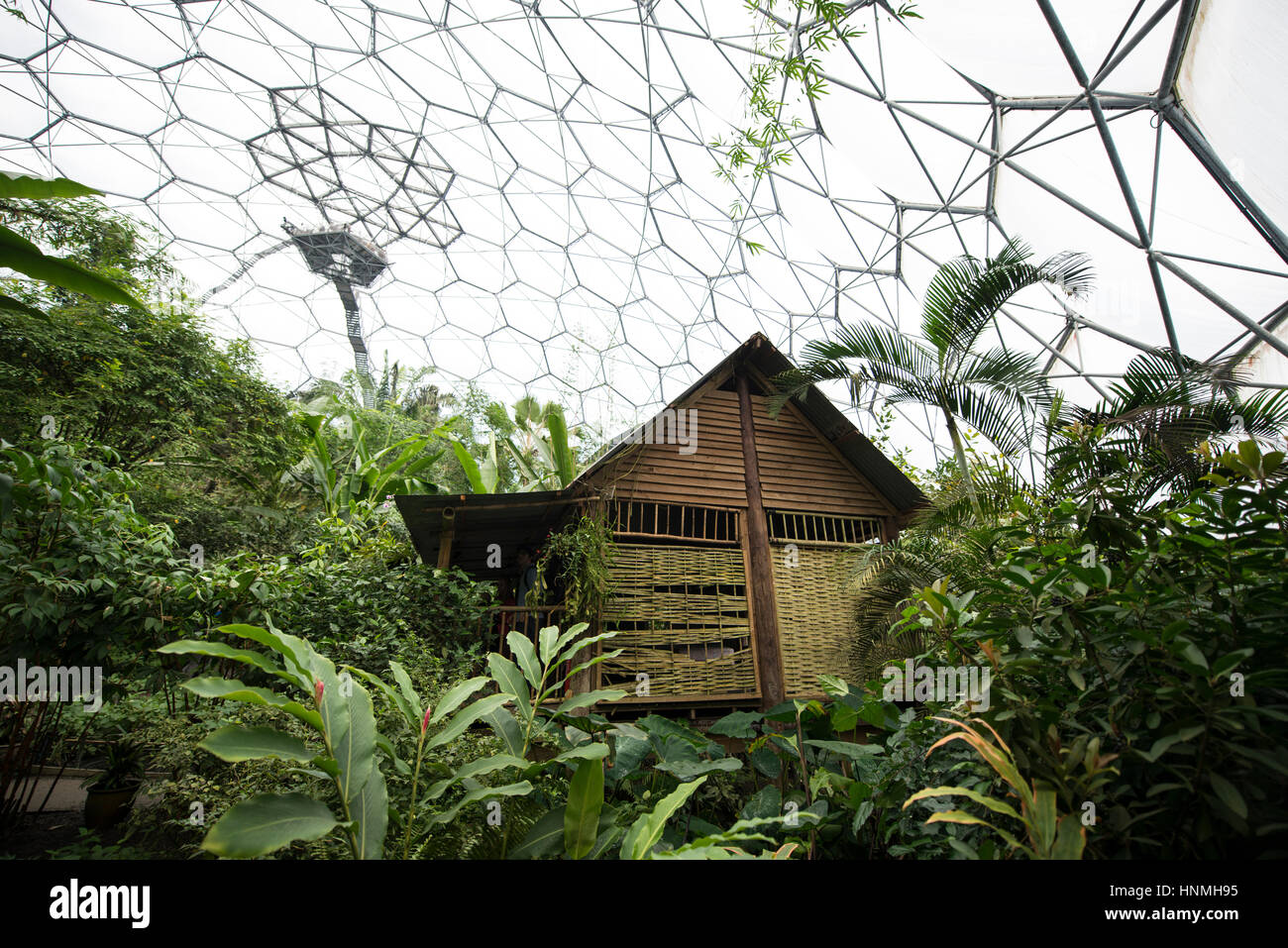Malaysian Hut, Rainforest Biome, Eden Project Stock Photo - Alamy