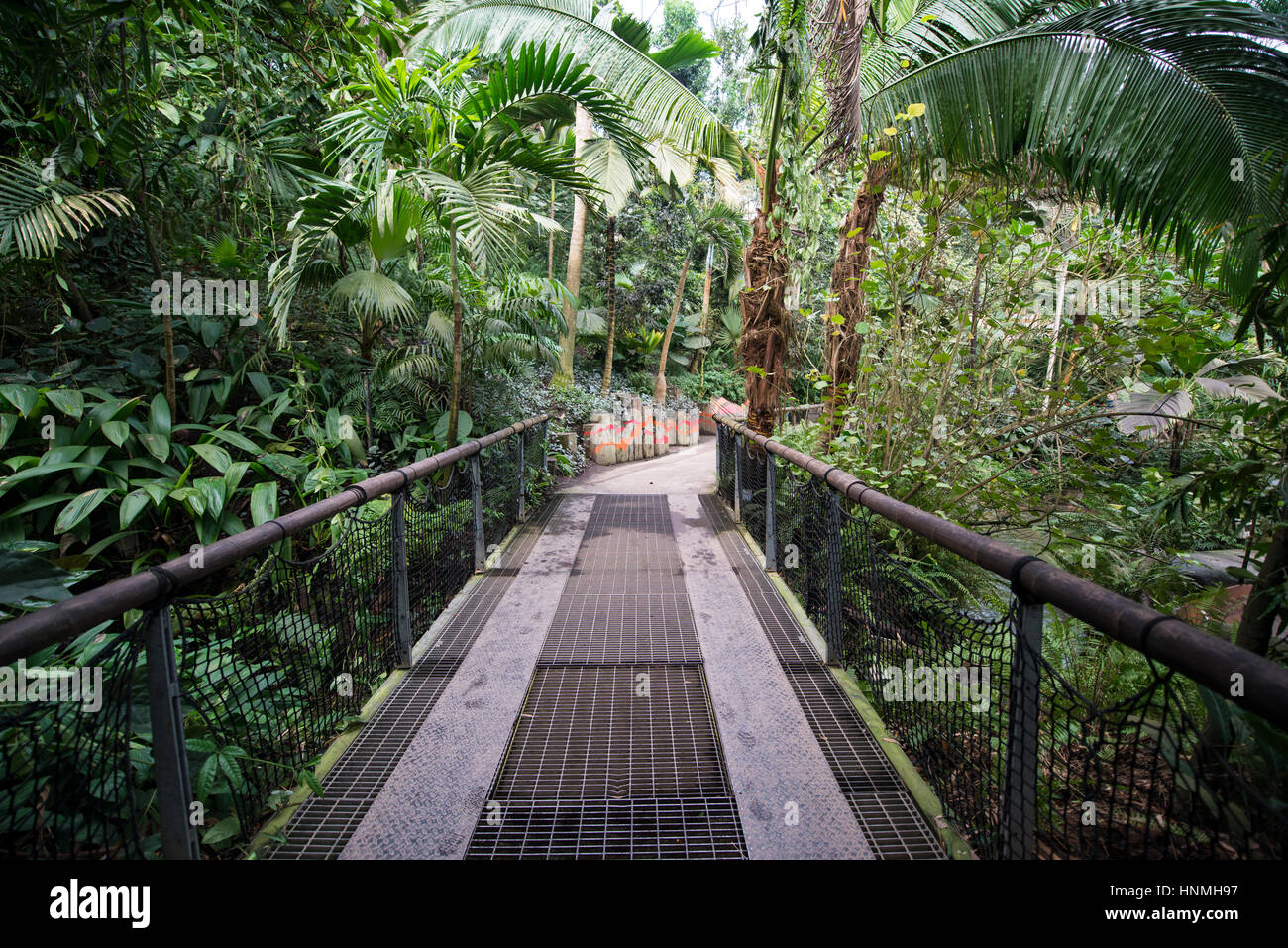 Rainforest Biome, Eden Project Stock Photo - Alamy