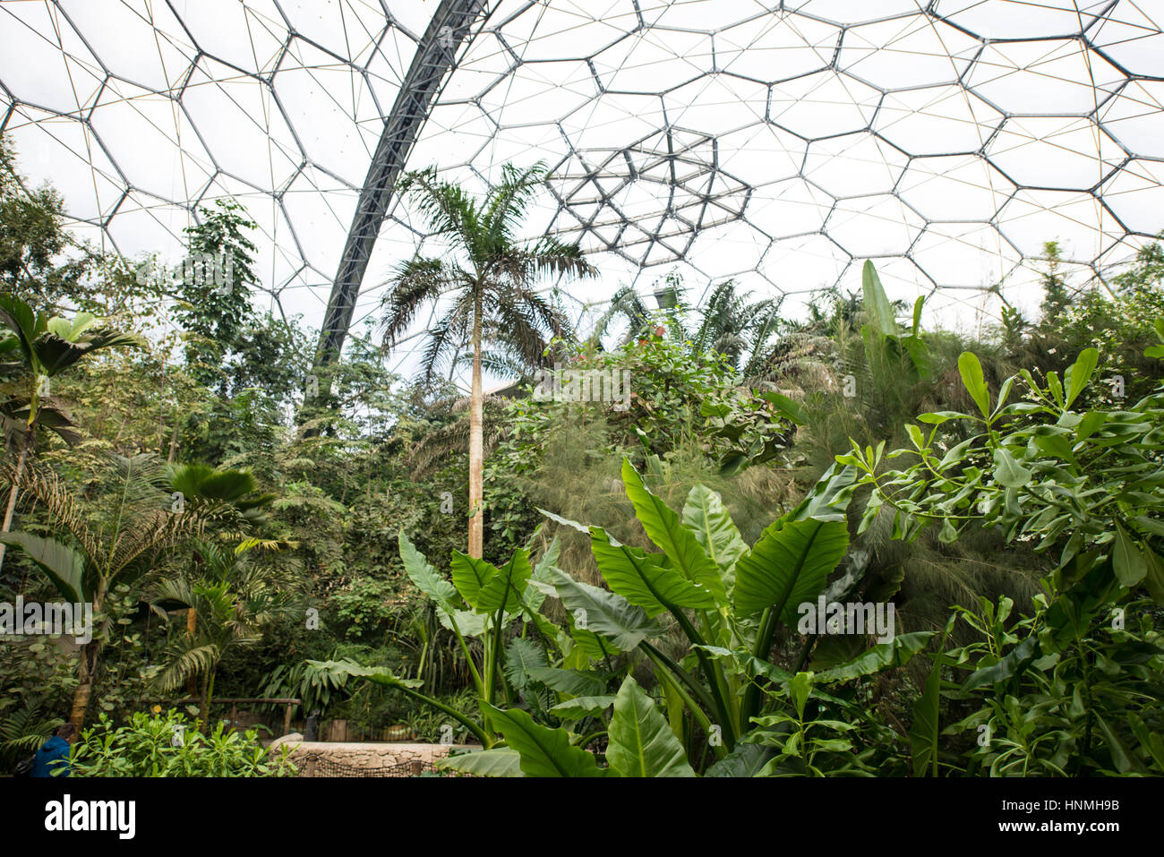 Rainforest Biome, Eden Project Stock Photo - Alamy