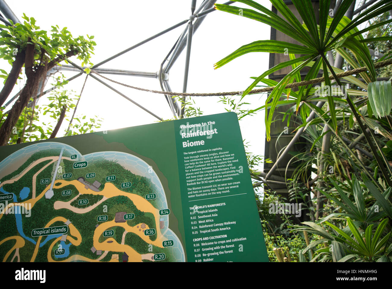 Rainforest Biome, Eden Project Stock Photo - Alamy