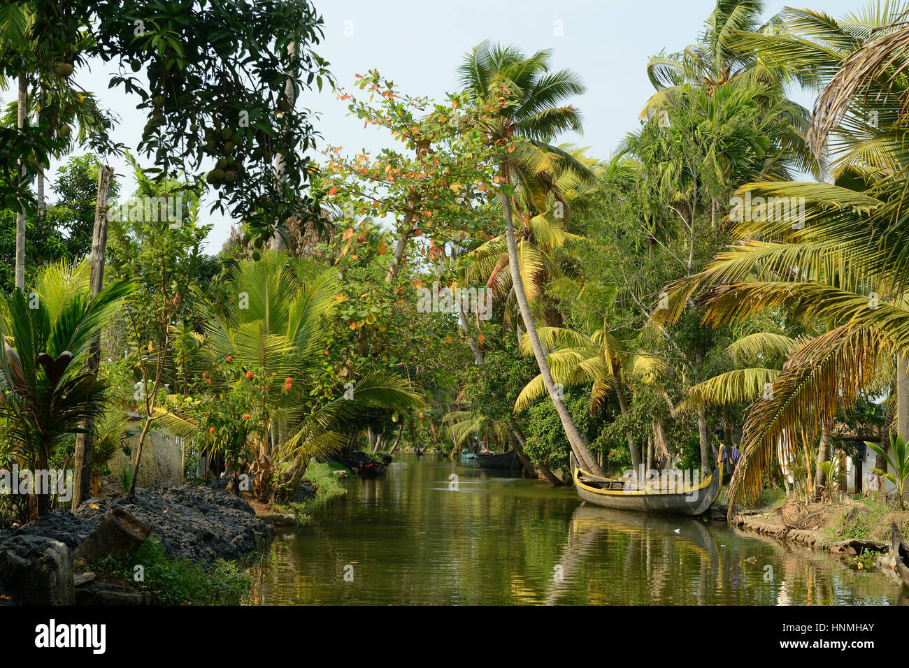 India, Coco trees reflection and beautifoull house boat at back waters ...
