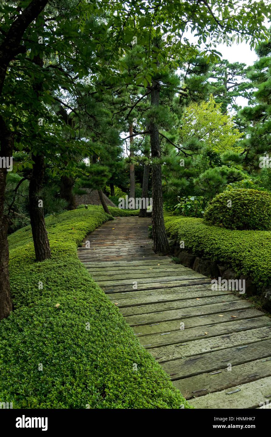 Tokyo vegetation hi-res stock photography and images - Alamy