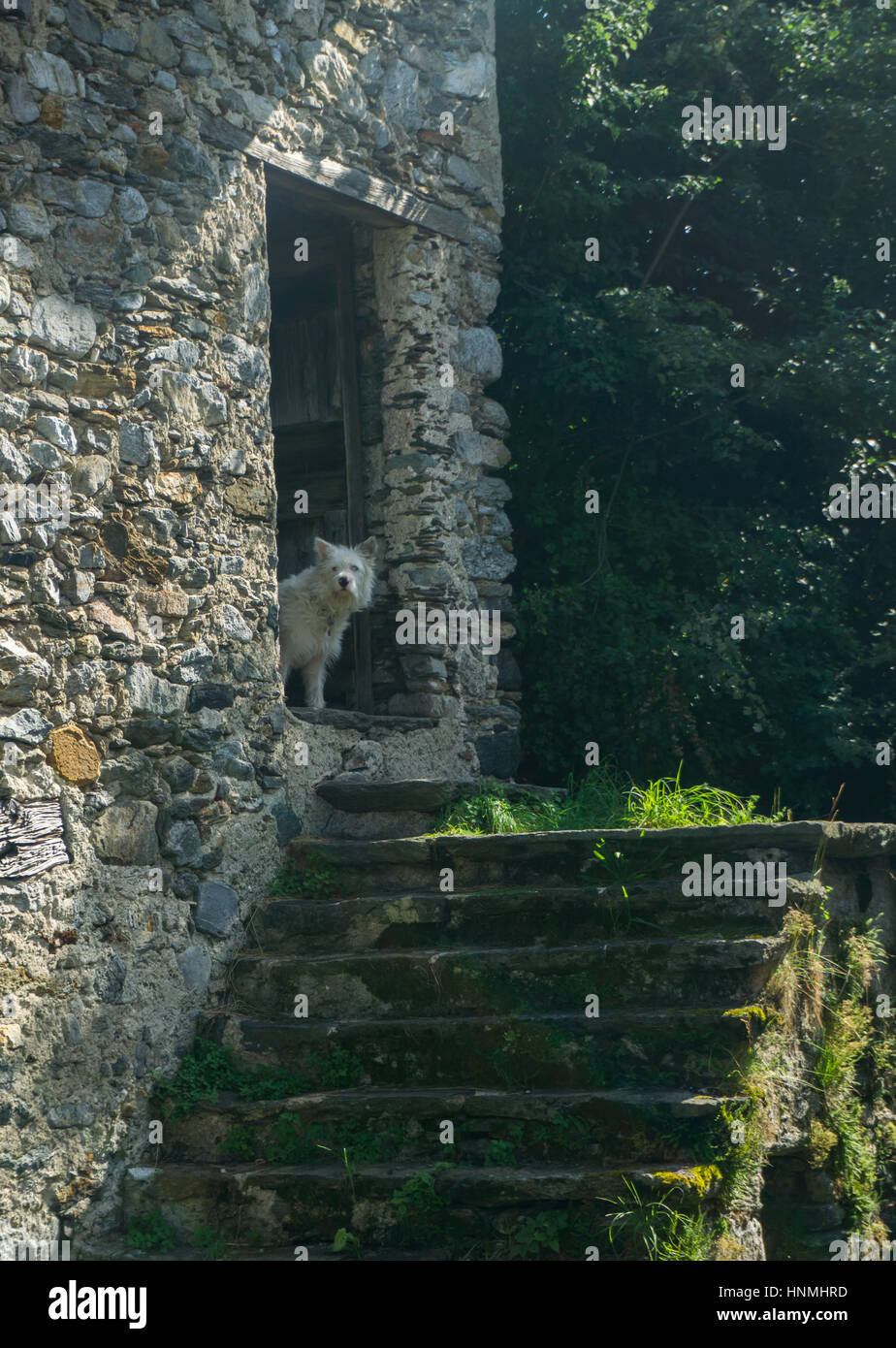 Medieval little town in Italy with its historical elements. Landscapes ...