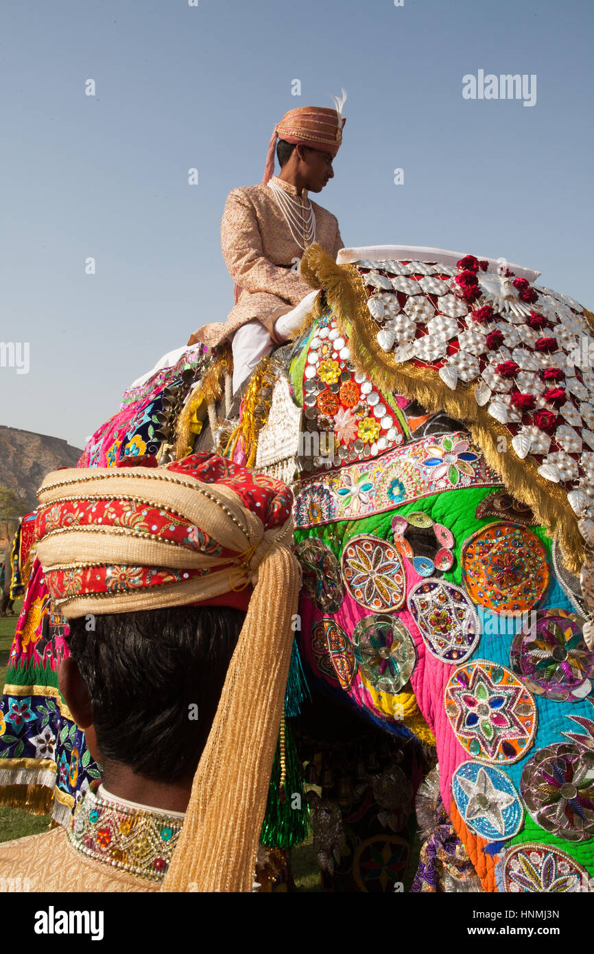 Tourists,folk music,dance Painted,decorated,elephants,At Holi,Spring ...