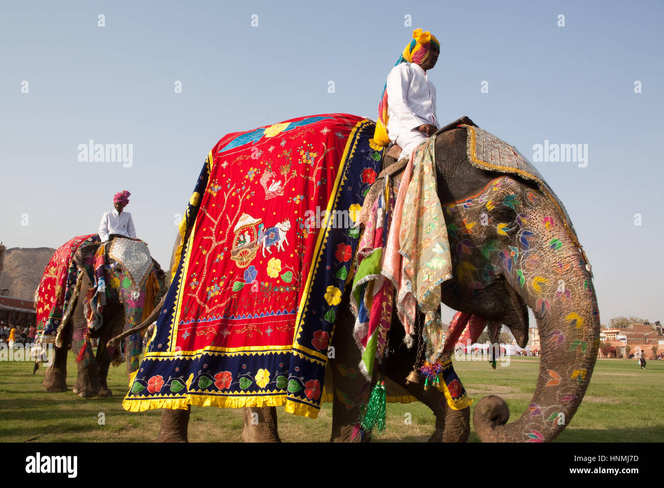 Tourists,folk music,dance Painted,decorated,elephants,At Holi,Spring ...