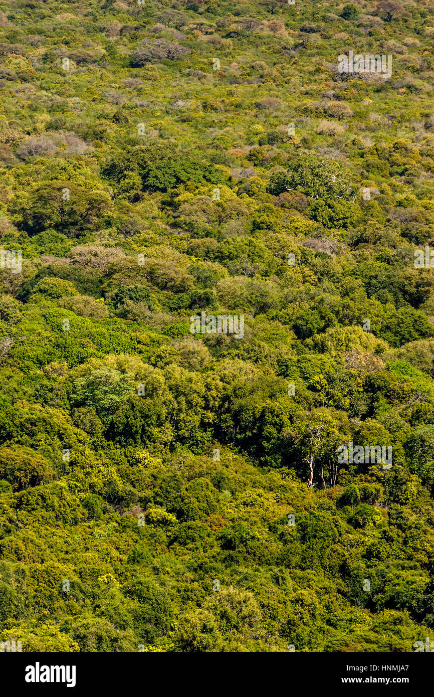An Aerial View Of The Nechisar National Park, Arba Minch, Ethiopia ...