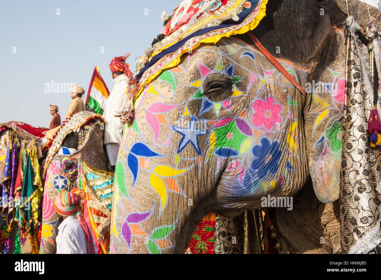 Tourists,folk music,dance Painted,decorated,elephants,At Holi,Spring ...