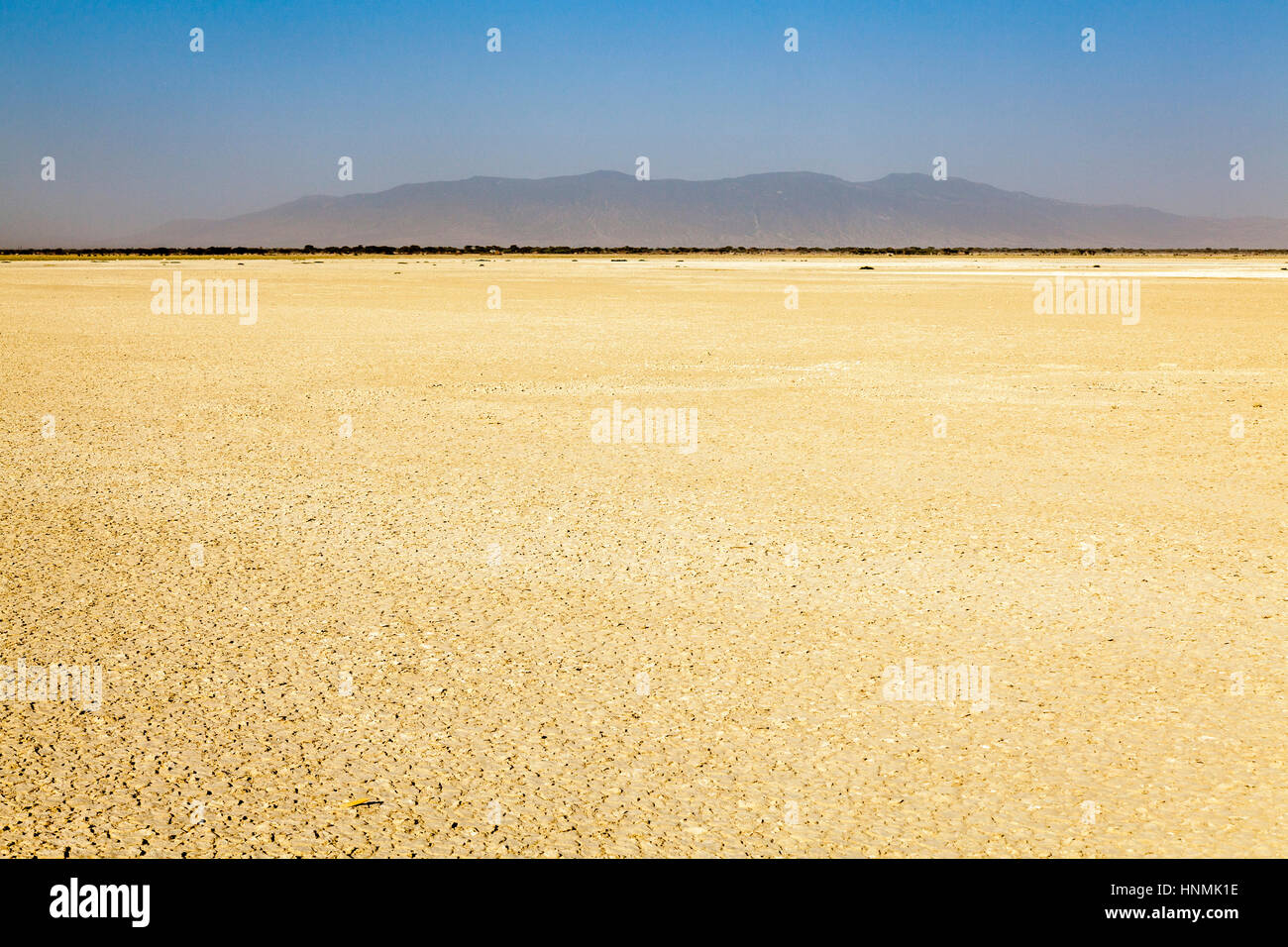 Salt Pan, Lake Abijatta, Abijatta-Shalla National Park, Ethiopia Stock ...