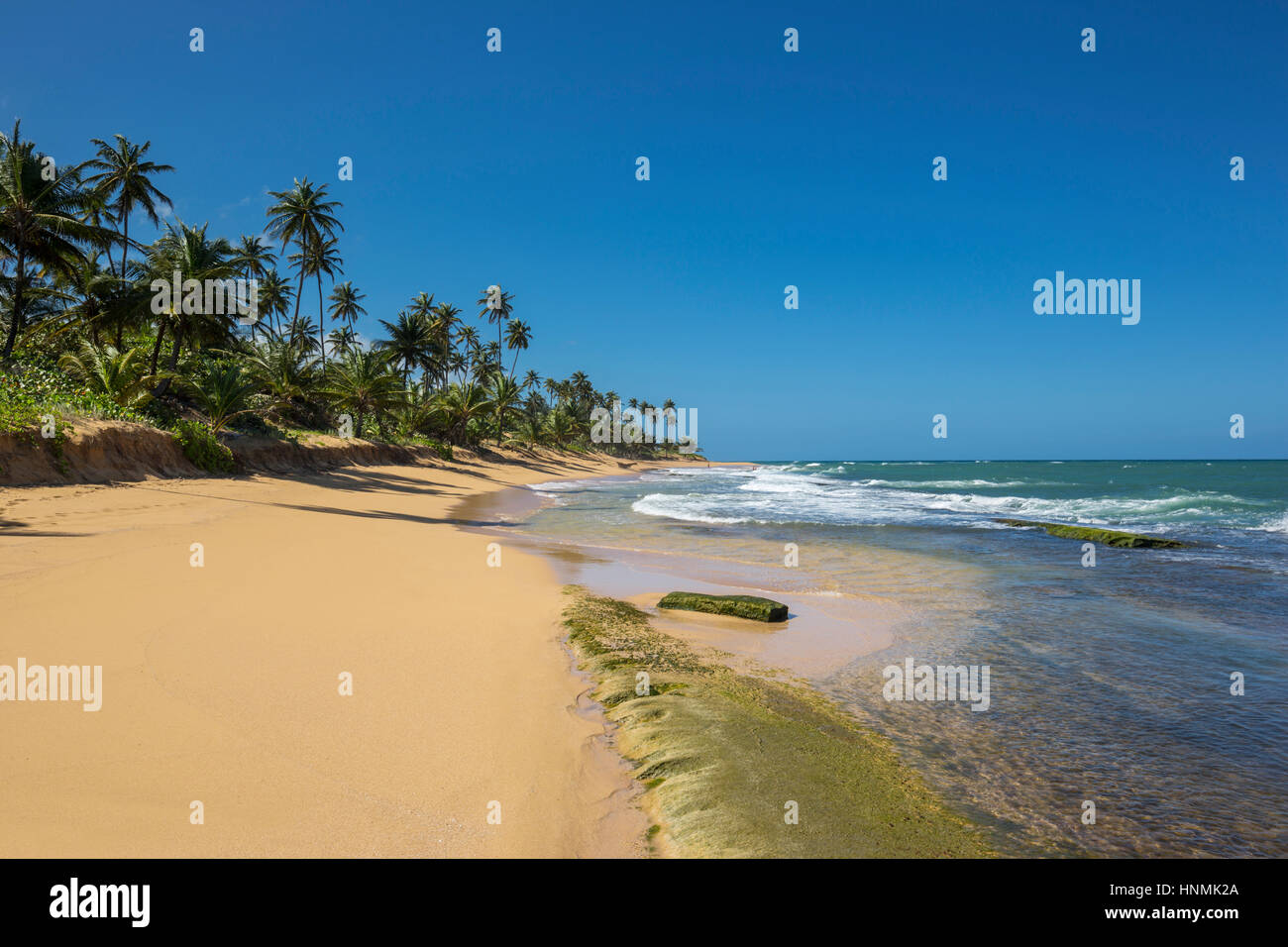 EXPOSED ROCKS PLAYA PINONES BEACH LOIZA PUERTO RICO Stock Photo - Alamy