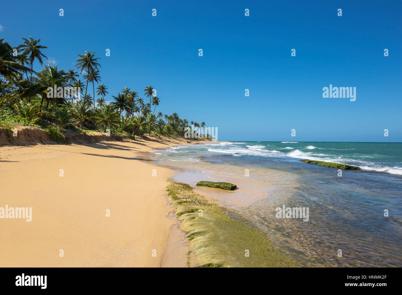 EXPOSED ROCKS PLAYA PINONES BEACH LOIZA PUERTO RICO Stock Photo - Alamy
