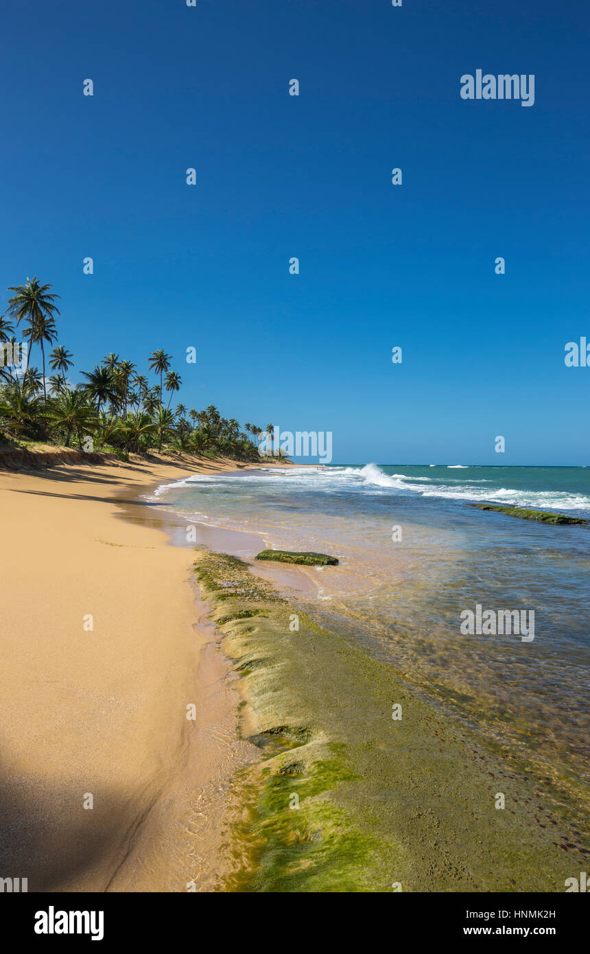 EXPOSED ROCKS PLAYA PINONES BEACH LOIZA PUERTO RICO Stock Photo - Alamy