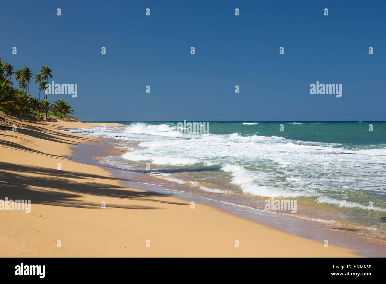 Pinones High Resolution Stock Photography and Images - Alamy