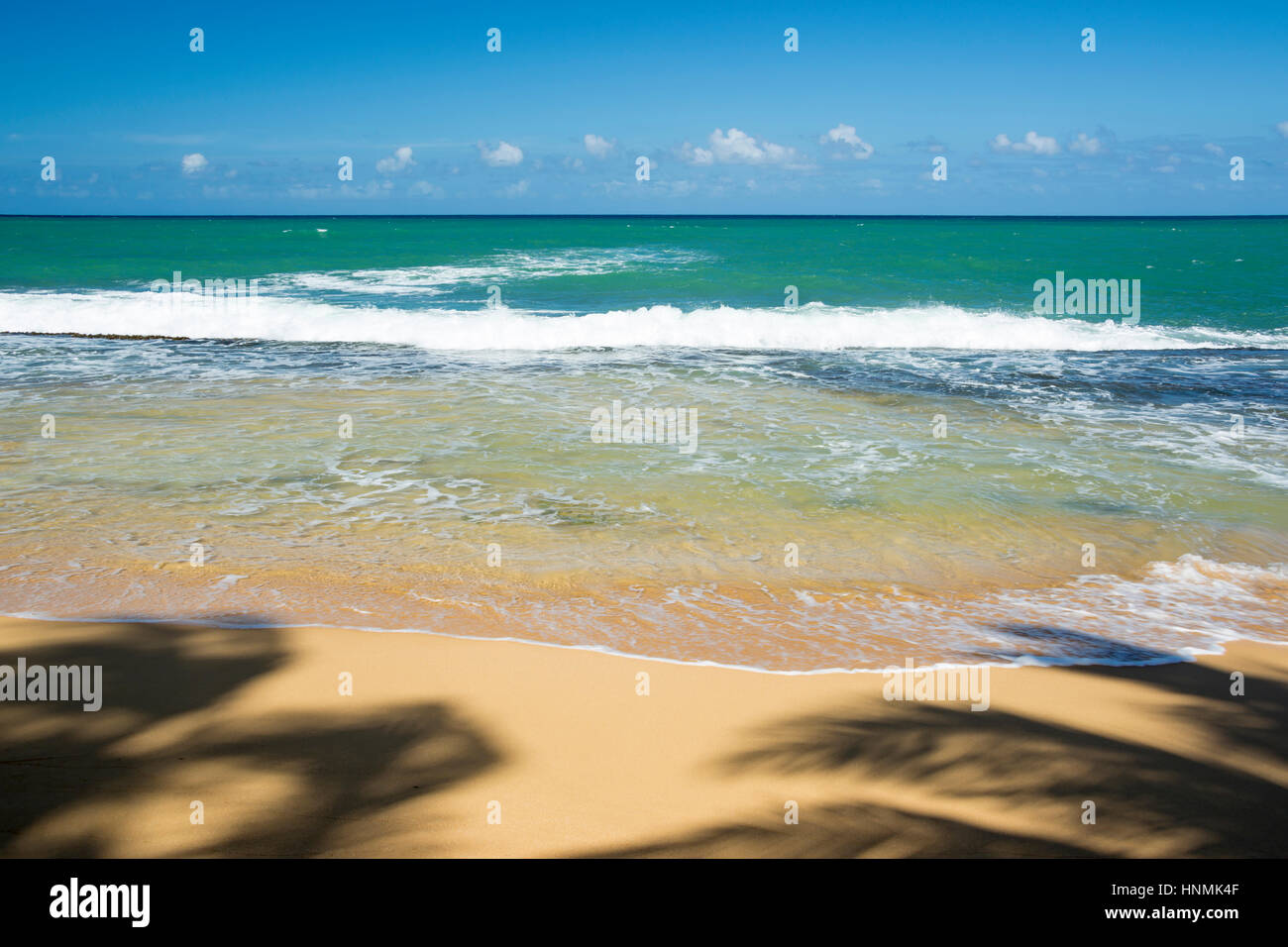 PALM TREE SILHOUETTES PLAYA PINONES BEACH LOIZA PUERTO RICO Stock Photo ...