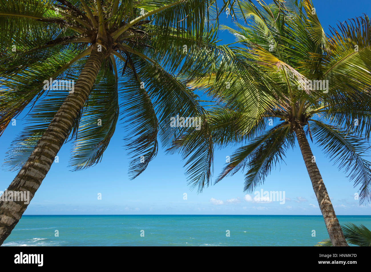 PALM TREES PLAYA PINONES BEACH LOIZA PUERTO RICO Stock Photo - Alamy