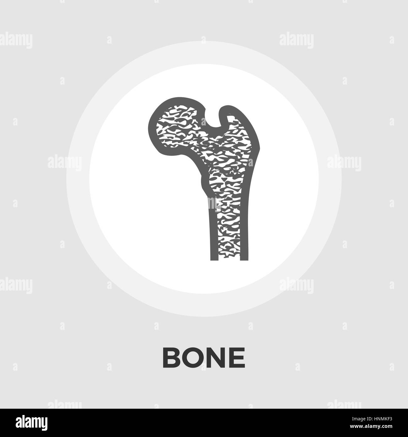 Bone icon vector. Flat icon isolated on the white background. Editable ...