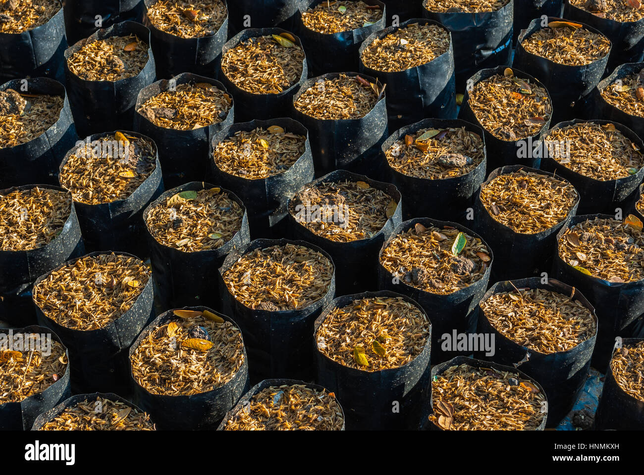 Closeup to Lot of Black Plastic Bags for Preparing Agriculture ...
