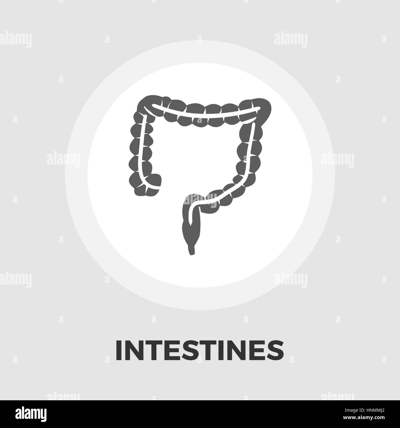 Intestines icon vector. Flat icon isolated on the white background ...