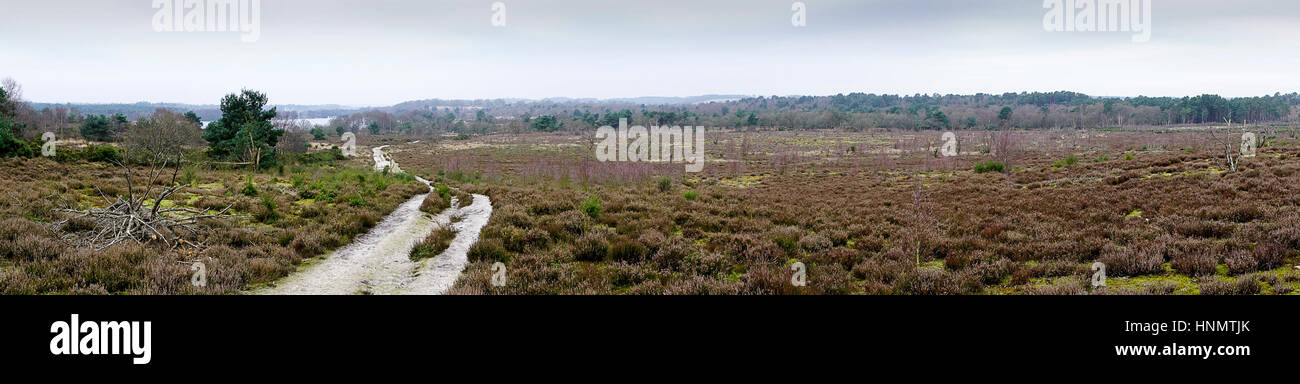 Frensham common hi-res stock photography and images - Alamy