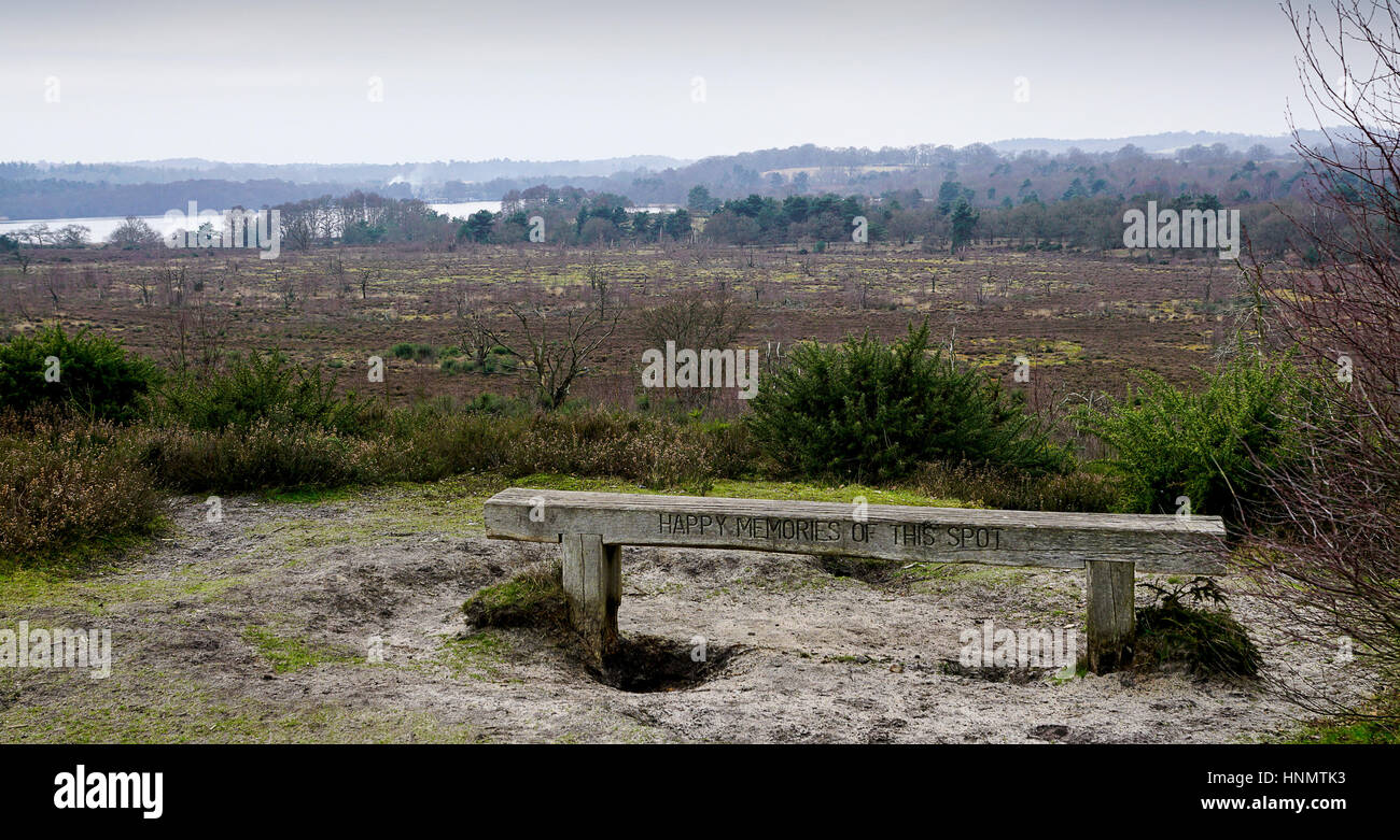 Frensham Common in Frensham, Surrey, England, UK. Credit: james jagger ...