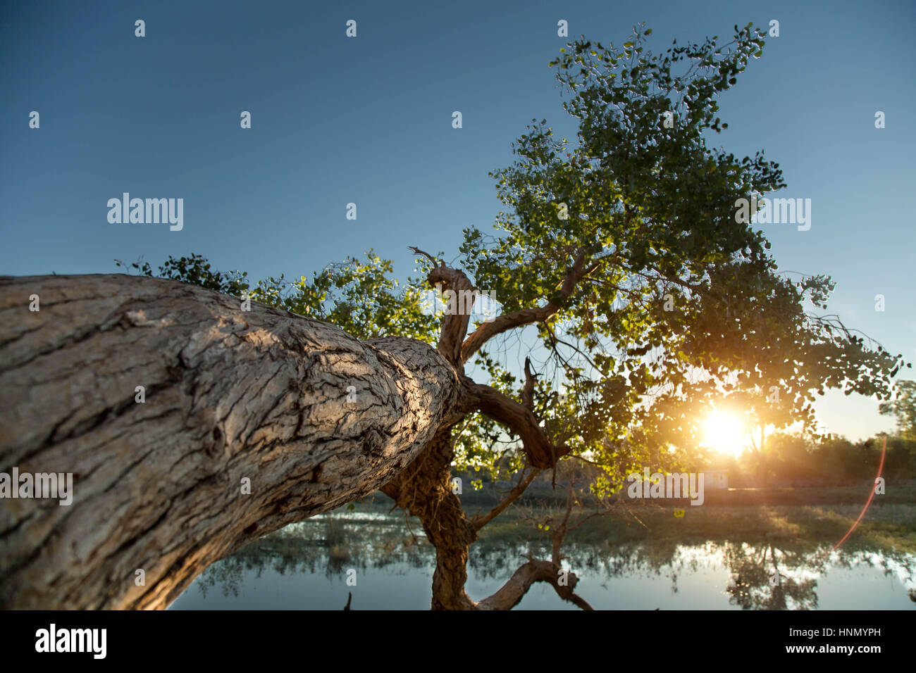 Inner Mongolia, Inner Mongolia, China. 14th Feb, 2017. Inner Mongolia ...