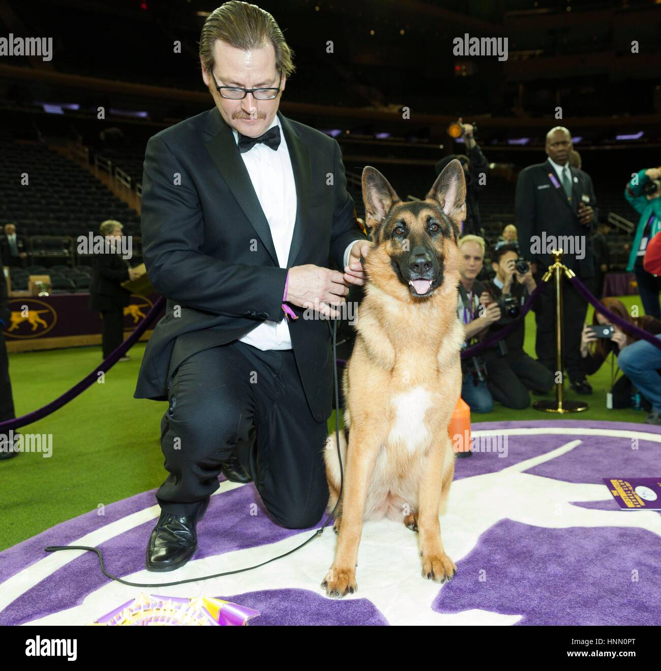 New York, NY, USA. 14th Feb, 2017. Rumor the German Shepherd and ...
