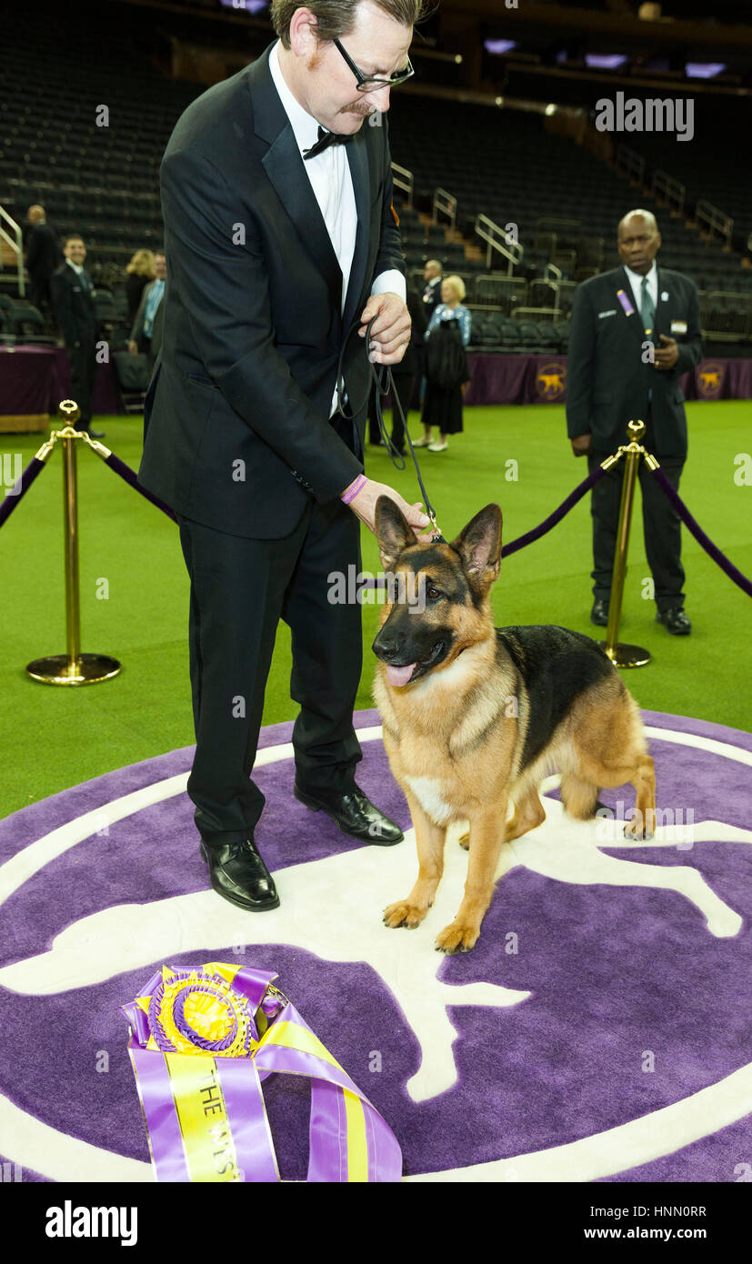 New York, USA. 14th Feb, 2017. Rumor the German Shepherd and handler ...