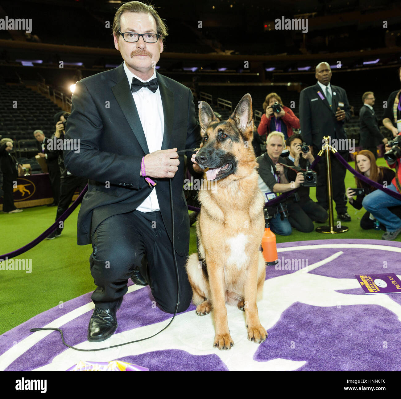 New York, USA. 14th Feb, 2017. Rumor the German Shepherd and handler ...