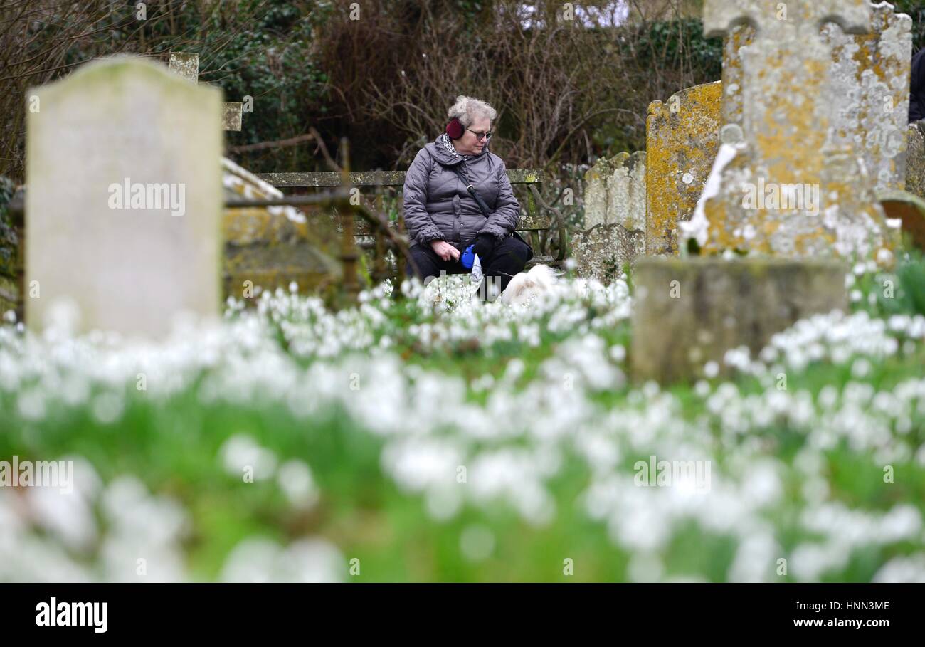 Dull grey february day hi-res stock photography and images - Alamy