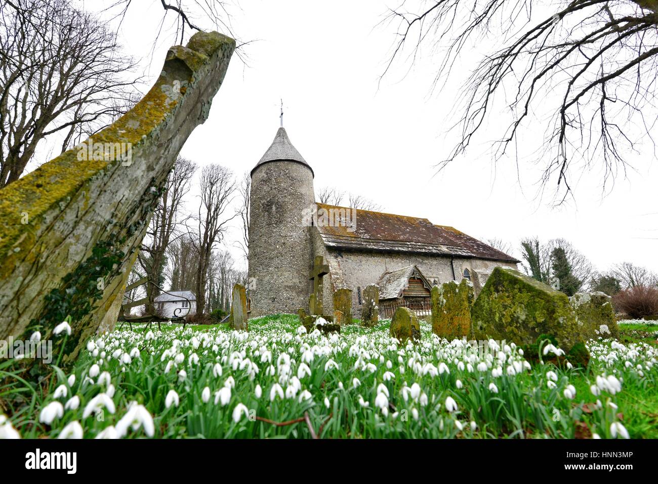Dull white flowers hi-res stock photography and images - Alamy