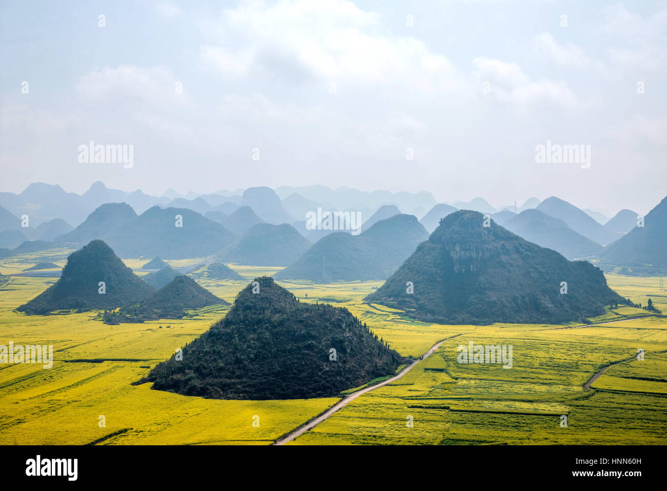 Rape fields in Luoping County, Yunnan Province, China Stock Photo - Alamy