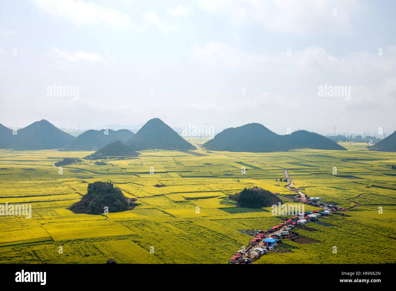 Rape fields in Luoping County, Yunnan Province, China Stock Photo - Alamy