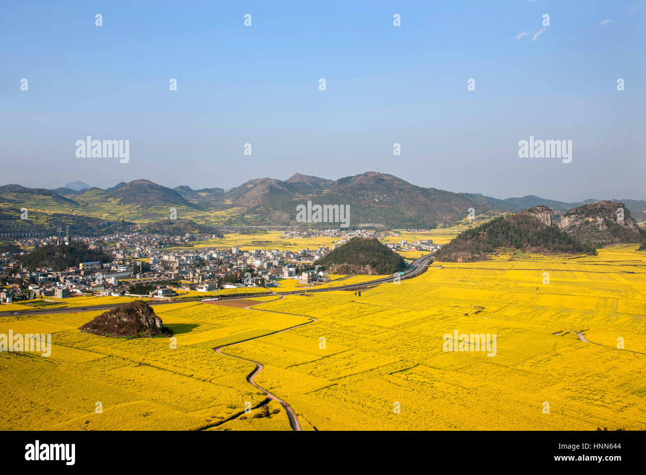 Rape fields in Luoping County, Yunnan Province, China Stock Photo - Alamy