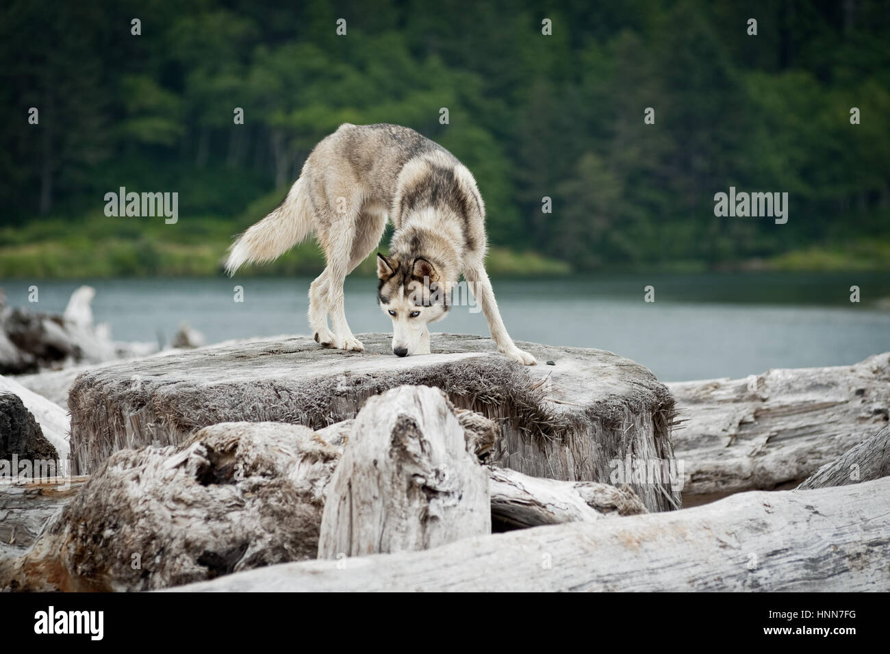 Beach markings hi-res stock photography and images - Alamy
